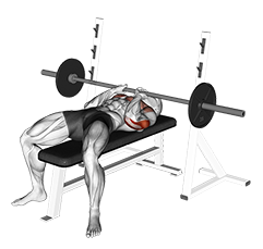 Closed Grip Bench Press
