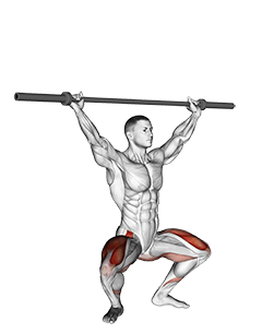 Strength Level Calculator for Barbell Overhead Squat