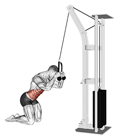 Strength Level Calculator for Cable Kneeling Crunch