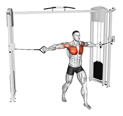 Exercise Dataset Viewer