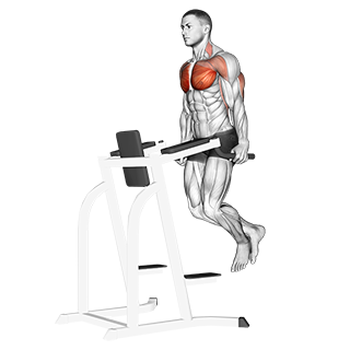 Exercise Dataset Viewer