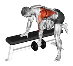 Dumbbell Bent Over Row