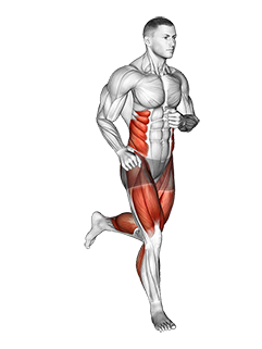 Exercise Dataset Viewer