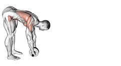 Exercise Dataset Viewer