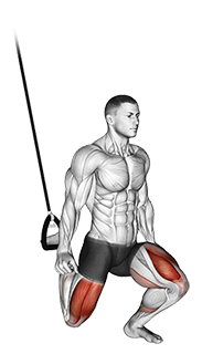 《掌握自重懸浮分腿深蹲：綜合鍛鍊指南》