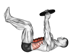 Exercise Dataset Viewer