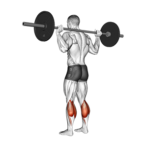 Exercise Dataset Viewer