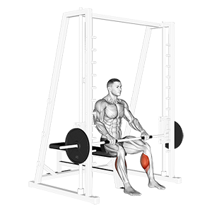 Exercise Dataset Viewer