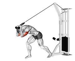 Rope Overhead Extension