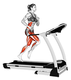 Exercise Dataset Viewer