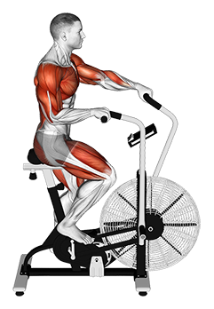 Exercise Dataset Viewer