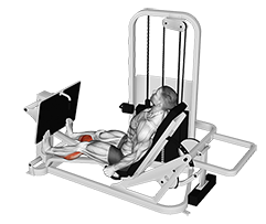 Exercise Dataset Viewer