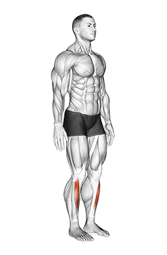 Exercise Dataset Viewer