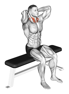 Cable-Driven Seated Neck Flexion: A Comprehensive Exercise, 50% OFF