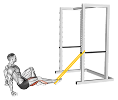 Seated Hamstring Curl With Theraband