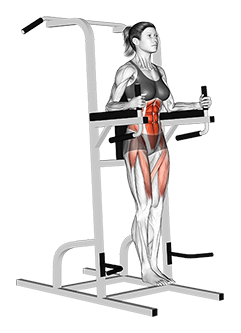 Exercise Dataset Viewer