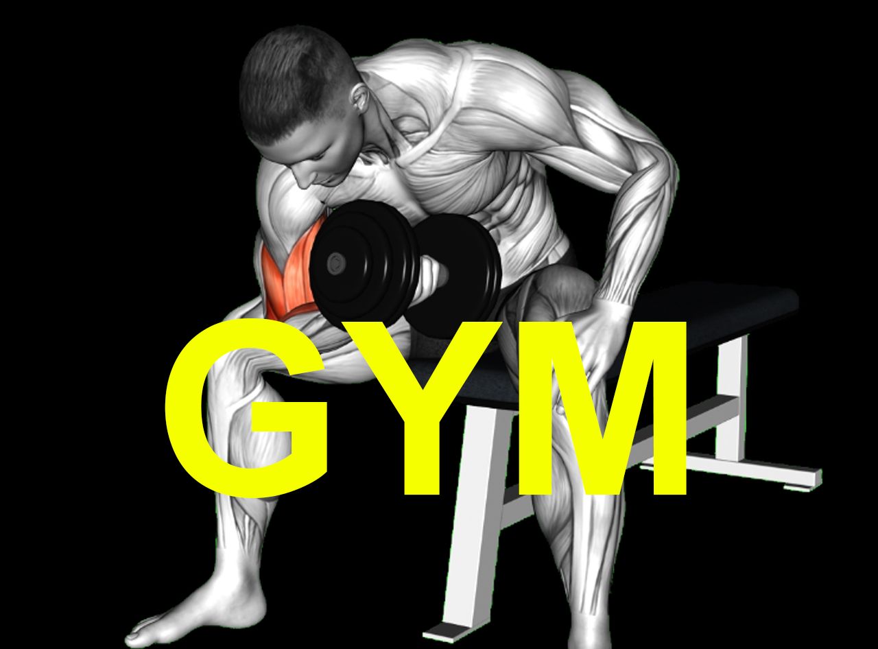 Workout Collections Page 1 | Lyfta